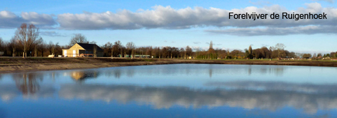 Forelvijver de Ruigenhoek in Utrecht